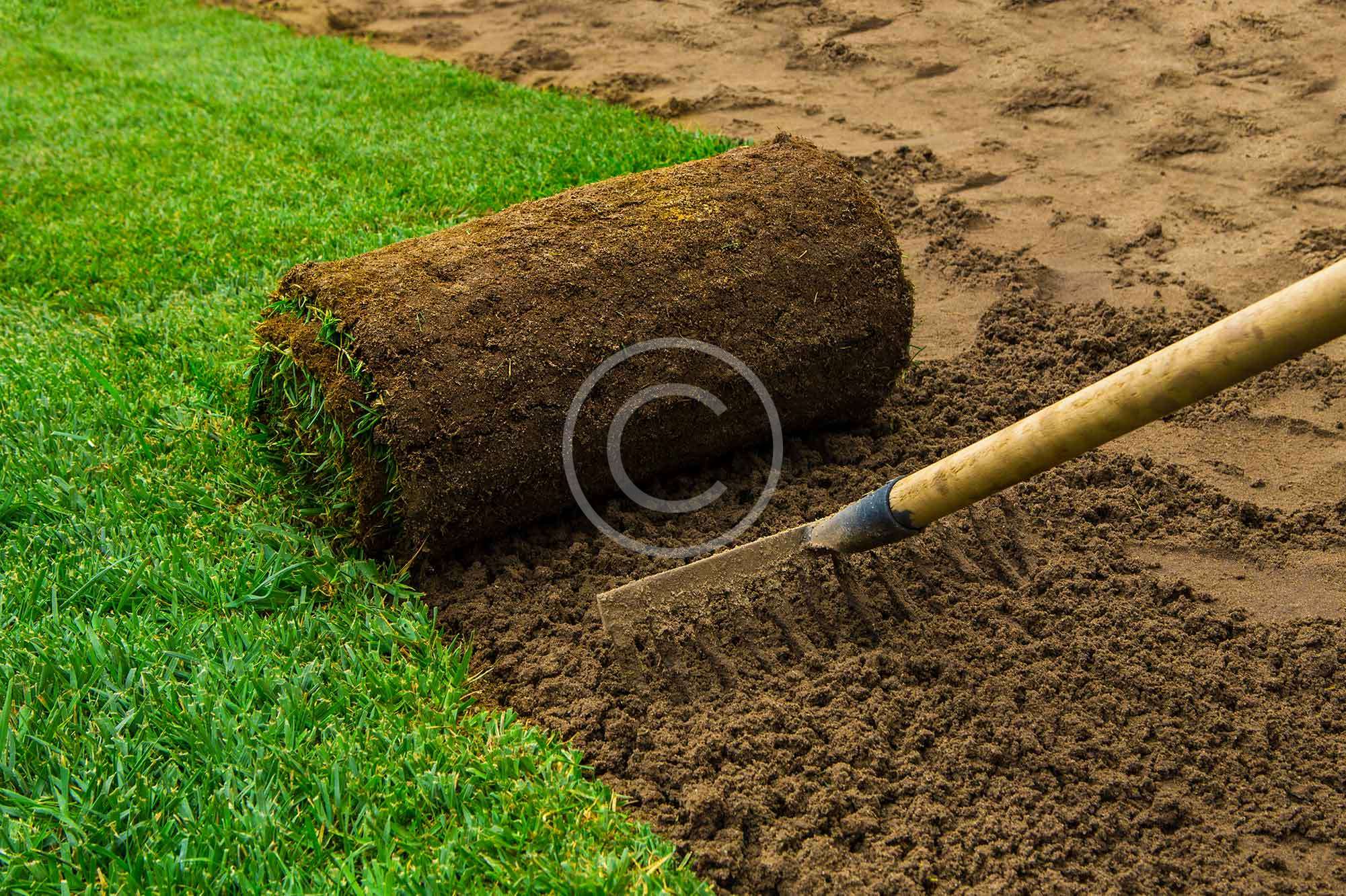 Garden – Rowan Tree Fencing